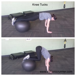 Exercise Library - Dynamic Runner